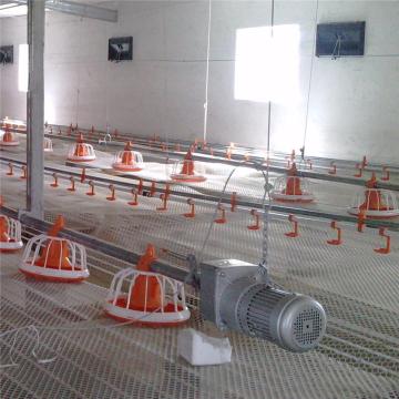 Quality 1g-99g Poultry Feeding Equipment Automatic Poultry Feeder System for sale