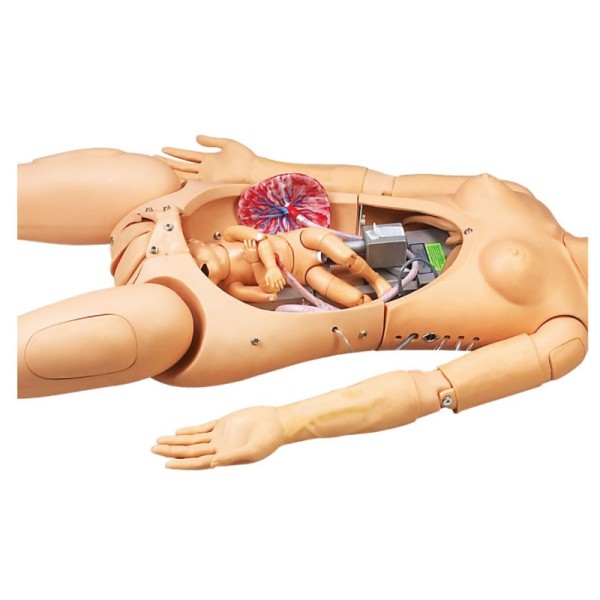Quality Teaching Training Maternal Neonatal PVC Child Birth Simulator for sale