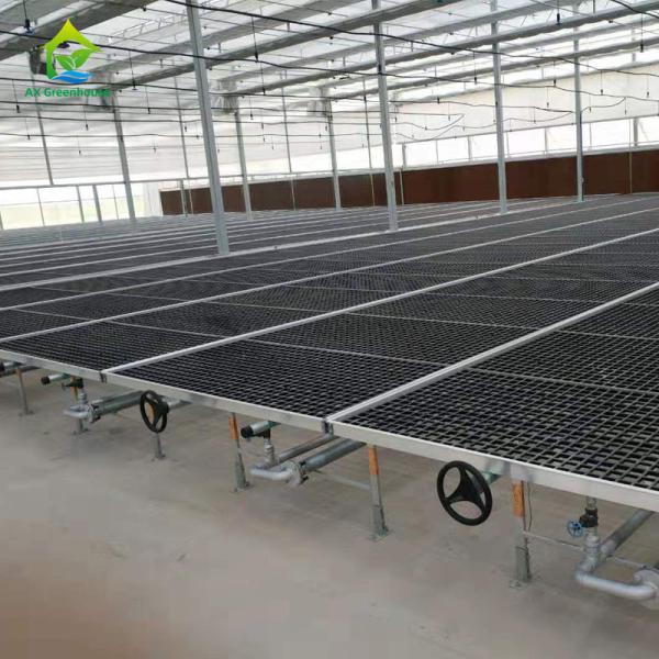 Quality Seedbed Plant Nursery Equipment Movable Mesh Grow Table Vegetable Planting for sale