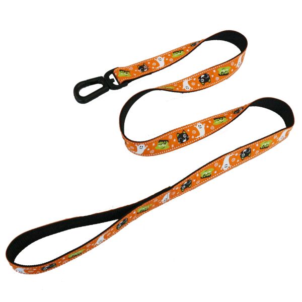 Quality Sublimation Heat Transfer Pet Traction Rope Custom Cute Dog Leash for sale