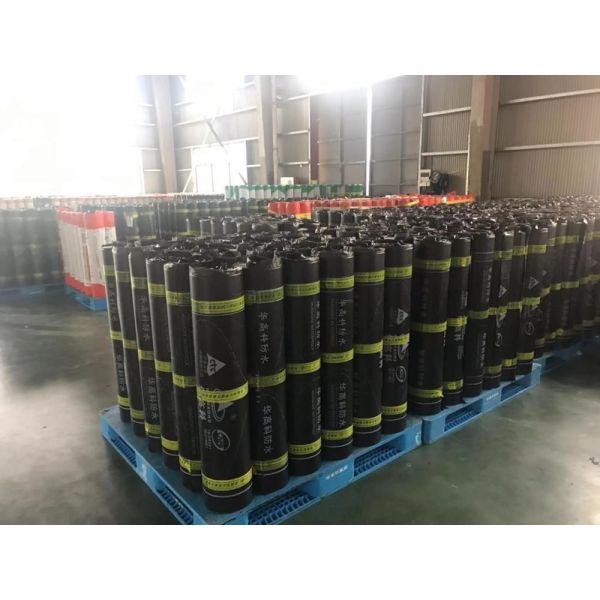 Quality SBS/APP Plastic Elastomer Modified Asphalt Waterproof Membrane for Roof and for sale