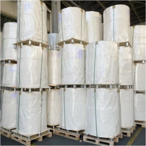 Quality Waterproof Custom Size PE PLA Coated Paper Waterproof Bottom Rolls for Coffee Tea Cup Making Bottom Paper for sale