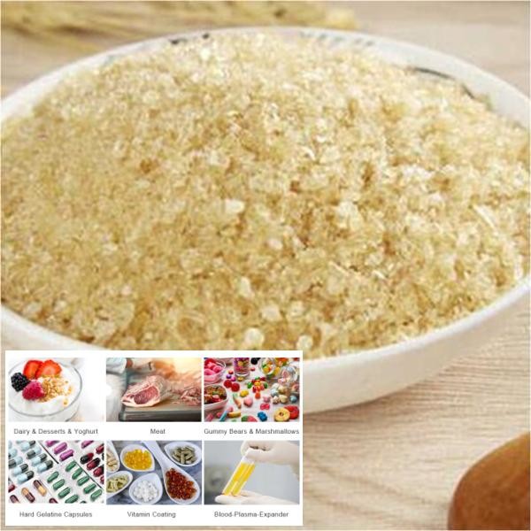 Quality Anchi Edible Gelatin Powder With Water High Viscosity for sale