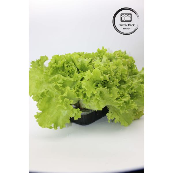 Quality Artificial Garden Vegetables and Fruits Plastic Seedling Trays Perfect for for sale