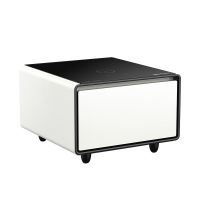 Quality Private Mold Smart Mini Fridge for Hotel Bedroom Living Room Furniture for sale