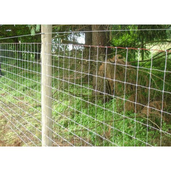 Quality Galvanized Steel Woven Wire Hinge Joint Farm Panel Fence for sale