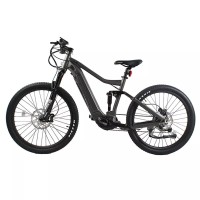 Quality 48V 20AH Lithium-ion Battery Mid Motor Bike for Adults Dirt Mountain Electric for sale