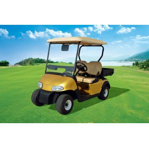 Quality New Design 2 Seats Electric Utility Golf Cart With Rear Plastic Cargo Box for sale