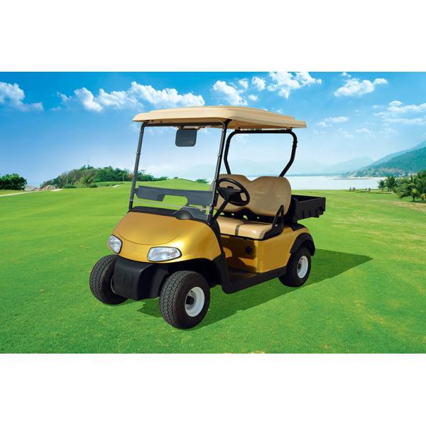Quality New Design 2 Seats Electric Utility Golf Cart With Rear Plastic Cargo Box for sale