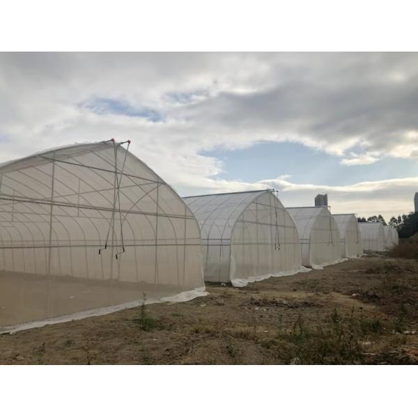 Quality Arched Temperature Control Tunnel Green Houses With Outside Shading System for sale