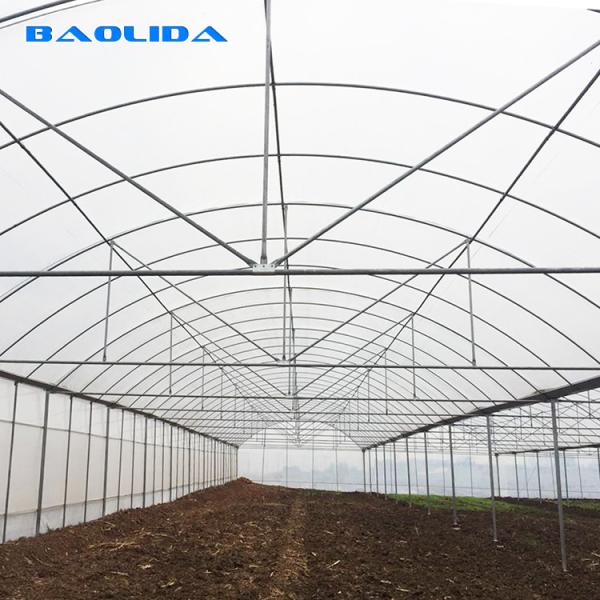 Quality Clear Plastic Grow Tunnel / Agriculture Farm Plastic Tunnel Greenhouse for sale
