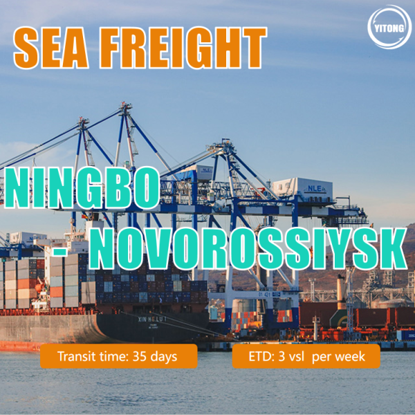 Quality Sea freight Shipping From Ningbo To Novorossiysk, Russia for sale