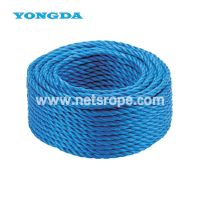 Quality 8mm 10mm 12mm PE Farm Rope for Animal Husbandry/Greenhouse/Trellis Support/Vine Training/Crop Binding for sale