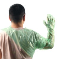 Quality 50PCS PE Disposable Neck Gloves with Enhanced Chemical and Tear Resistance for sale