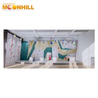 Quality Gym Park Indoor Climbing Wall Commercial Corrosion Resistant Customized for sale