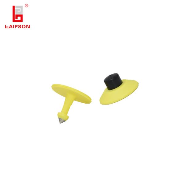 Quality Small Tamper Proof Hog Ear Tags , Swine Ear Tags Plastic Tpu Material for sale