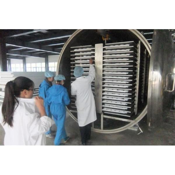 Quality CE Certificated Vacuum Drying Machine , Vacuum Virtis Freeze Dryer / Lypholizer for sale