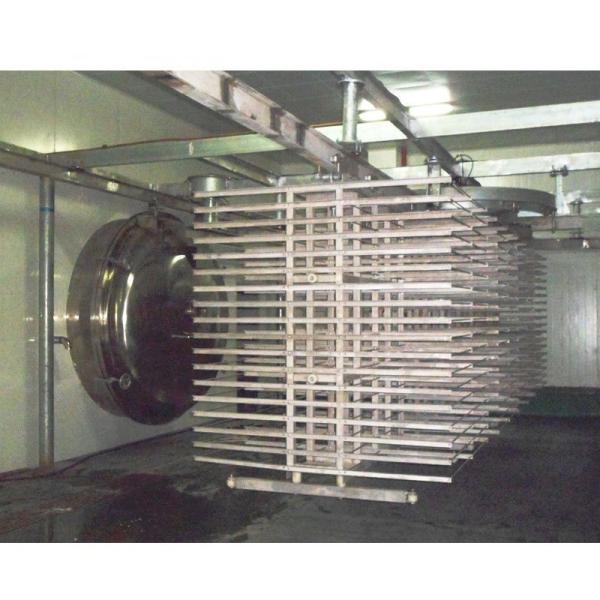 Quality 1000kg Freeze Drying Machine for sale