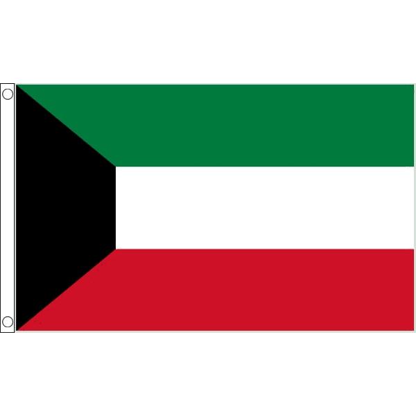 Quality Promotional 100% Polyester Thread Sewing 3x5 Ft Morocco National Flag for sale