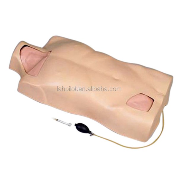 Quality Multiple Veins Puncture Training Simulator Central Venous Catheterization Torso for sale