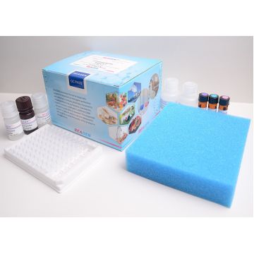 Quality Research Use Vitamin Test Kit / Rapid Vitamin B12 ELISA Test Kit for sale