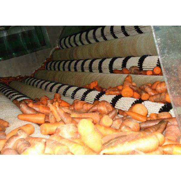 Quality High Efficient Vegetable Processing Line / Juice Production Equipment for sale