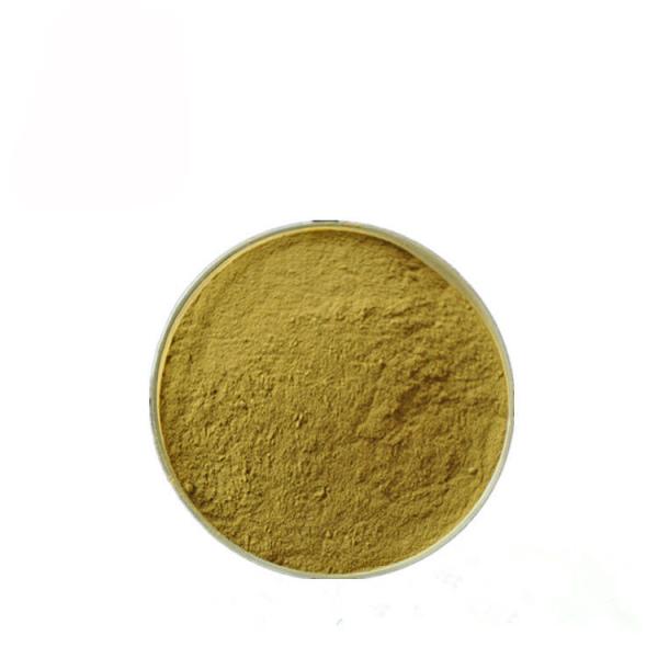 Quality Gymnema Sylvestre Leaf Anthocyanin Extract Powder For Pharmaceutical for sale