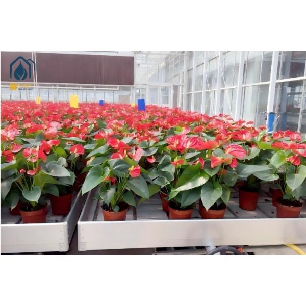 Quality Commercial Ebb And Flow Rolling Benches ABS Plastic Ebb And Flow Tables for sale