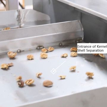 Quality 2 Tons Automatic Feeding Walnut Shelling Machine Featured Kernel Shell for sale