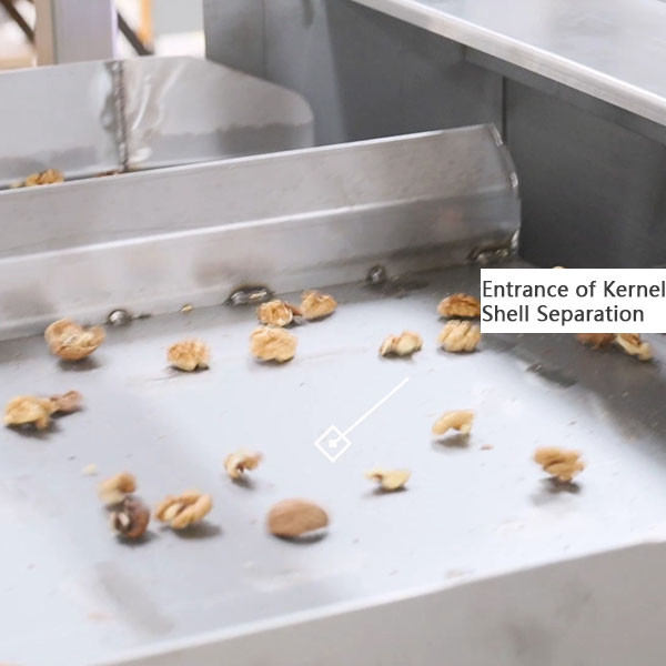 Quality 2 Tons Automatic Feeding Walnut Shelling Machine Featured Kernel Shell for sale
