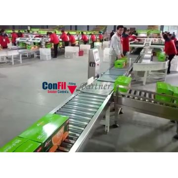 Quality 50 Pieces / Minute 30 KG Check Weigher Machine For Boxes Cases for sale