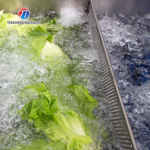 Quality Watercress Bubble Generating Vegetable Fruit Cleaning Machine , Apricot for sale