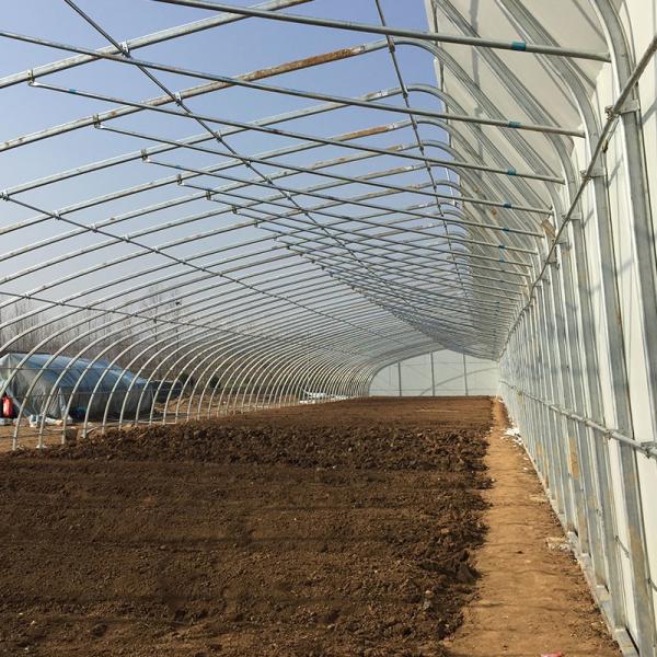 Quality Vegetable Fruits Flowers Winter Sunlight Solar Greenhouse Chinese Style for sale