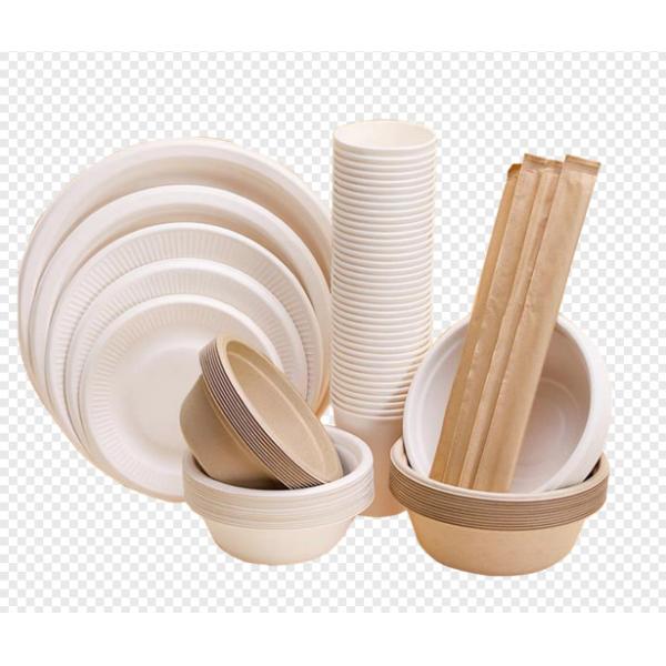 Quality Automatic Biodegradable Bagasse Pulp Molding Equipment / Plate Making Machine for sale