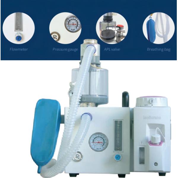 Quality DM6D Veterinary Anesthesia Ventilator Small Animal Anesthesia System for sale