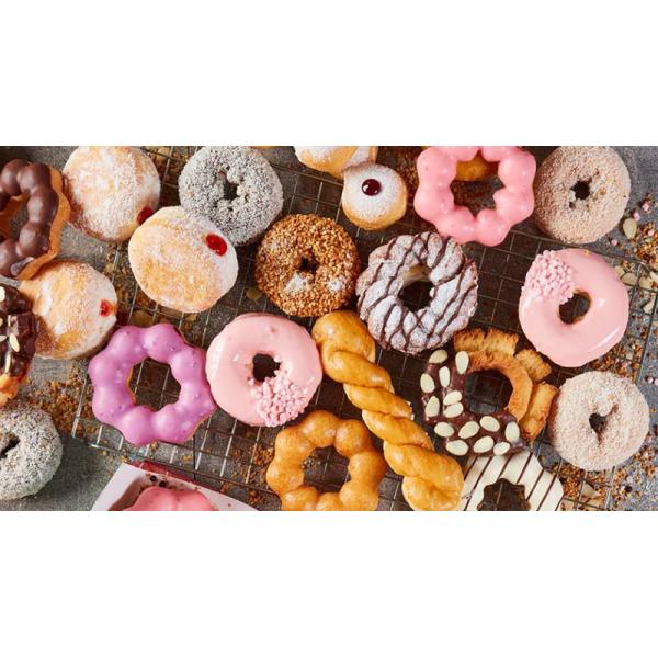Quality Snack Shop Stainless Steel Automatic Mini Donut Machine for sale