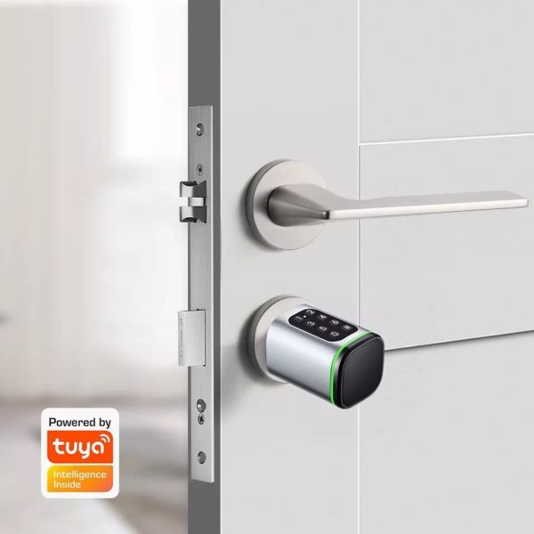 Quality Secure Your Silver Euro Profile Door with Tuya Fingerprint Mini Digital Cylinder for sale