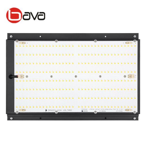 Quality 1.5x1.5 Qb288 LM301H 3000k Samsung Cob Led Grow Lights for sale