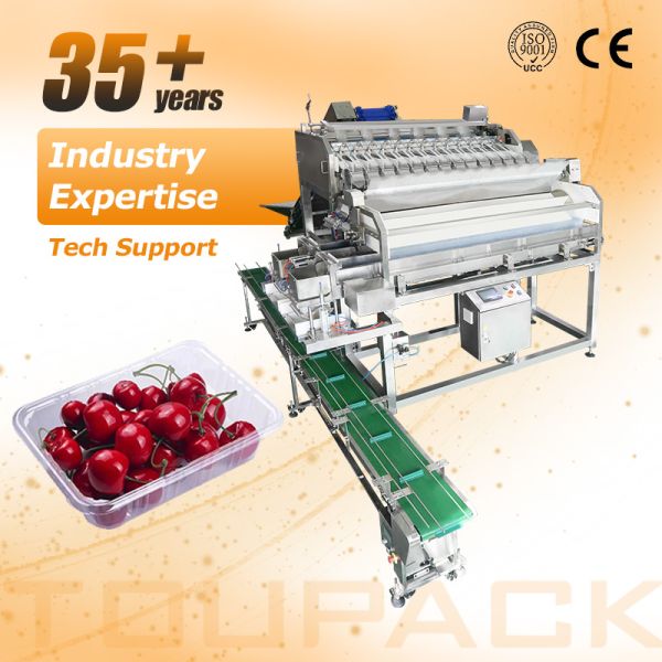 Quality Fruit Tray Sealing Packaging Line | With Automatic Tray Denester & Fruit Linear for sale