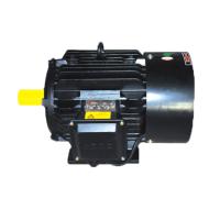 Quality Industral Three Phase Asynchronous Machine Speed Control Asynchronous for sale