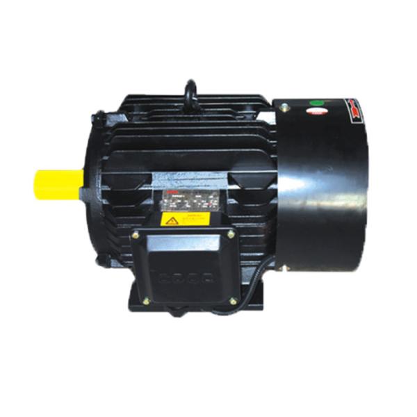 Quality Industral Three Phase Asynchronous Machine Speed Control Asynchronous for sale