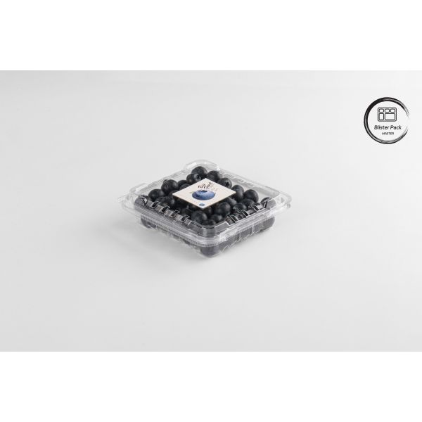 Quality 125g RPET Blueberry Clamshell Containers Transparent Fruit Packaging Boxes Durable for sale