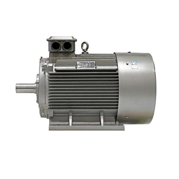 Quality Class F 77.4% High Efficiency Three Phase Asynchronous Motor YE3 90S-4-1.1kW for sale