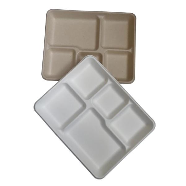 Quality Harmless Compostable Party Tableware Sugarcane Bagasse Disposable Christmas Tray for sale