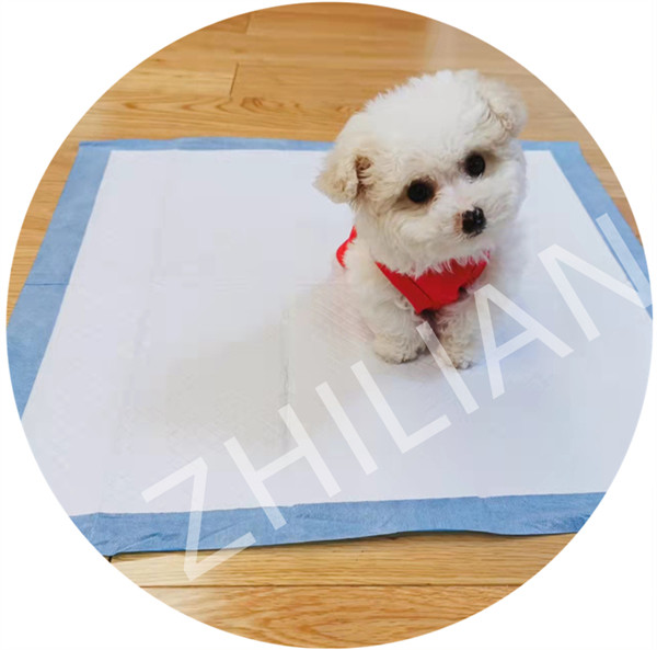 Quality Multipurpose Pet Training Pad Machine 170 m/min 300 m/min for sale