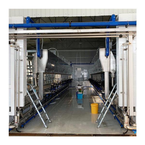Quality Large Herringbone Electric Dairy Automatic Milking Parlor For Cows for sale
