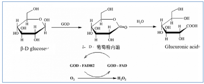 Thermostable GOD Glucose Oxidase Powder For Livestocks 2000U 0