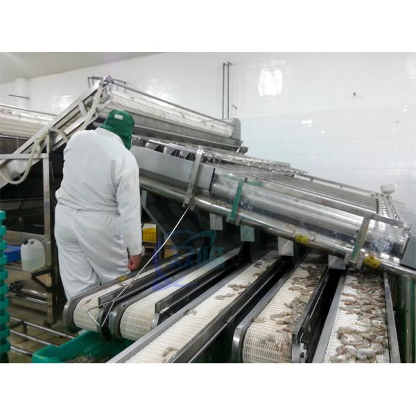 Quality 304 stainless steel 18 roller fish sorting machine Fish size screening machine for sale