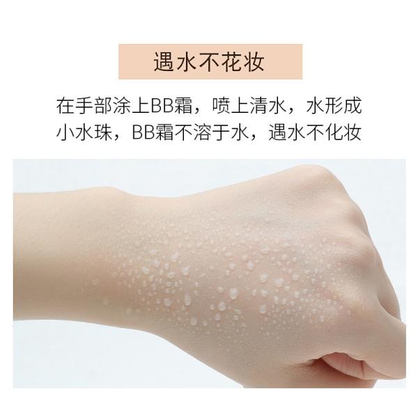 Quality Herbal Long Lasting BB Cream Waterproof Makeup Liquid Foundation for sale