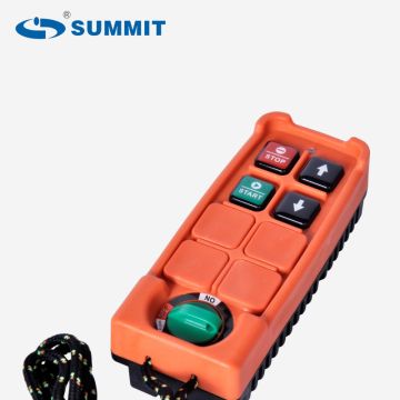 Quality Telecrane F21-2S Electric Hoist Remote Control 110V Micro Winch Remote Control for sale